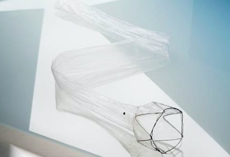 L’Endobarrier: un nouveau dispositif dans la prise en charge de l ...