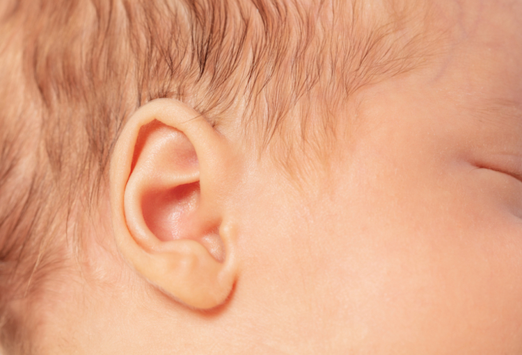 Artsen van UZ Leuven maken nieuwe oorschelp uit ribkraakbeen - Medi-Sfeer