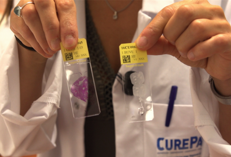 CurePath: un partenariat d’innovation stratégique en anatomie ...