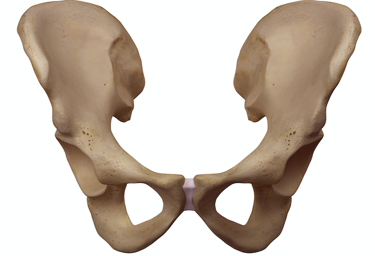 Qu’attendre de la chirurgie des métastases de l’os iliaque? - Ortho-Rhumato