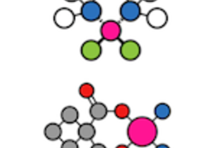 Mésothéliome pleural à un stade avancé: quel sel de platine? - Skin
