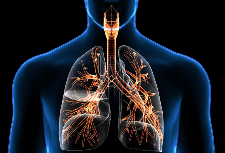 Pneumopathie interstitielle et connectivite mixte - VCPBHL